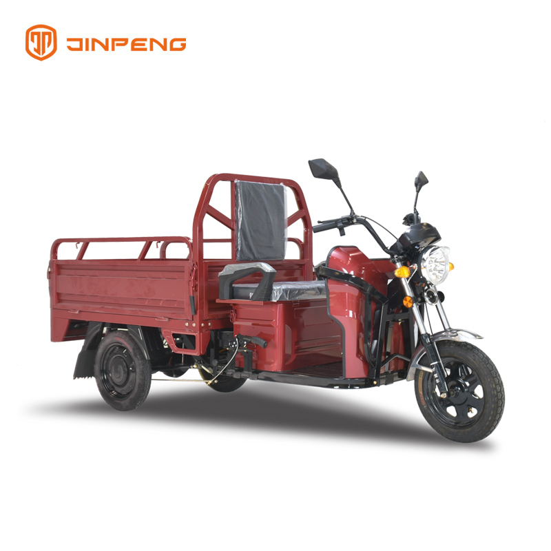 Mini Cargo Passsenger Electric Tricycle-TL130 from China manufacturer ...